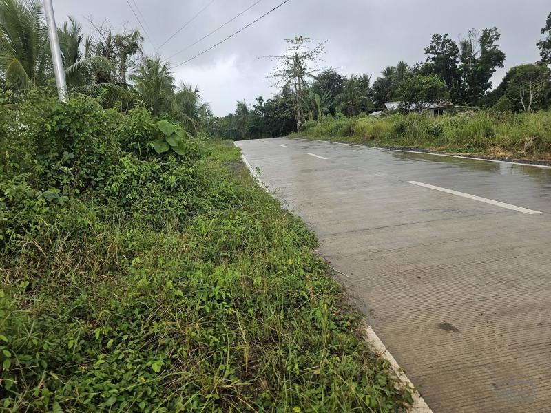 Agricultural Lot for sale in Ubay - 528400 | Piliko.com